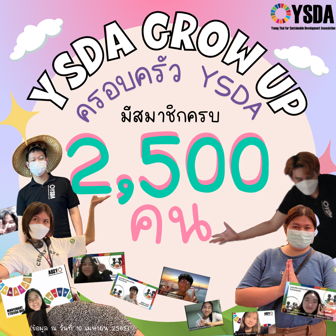 YSDA Thailand
